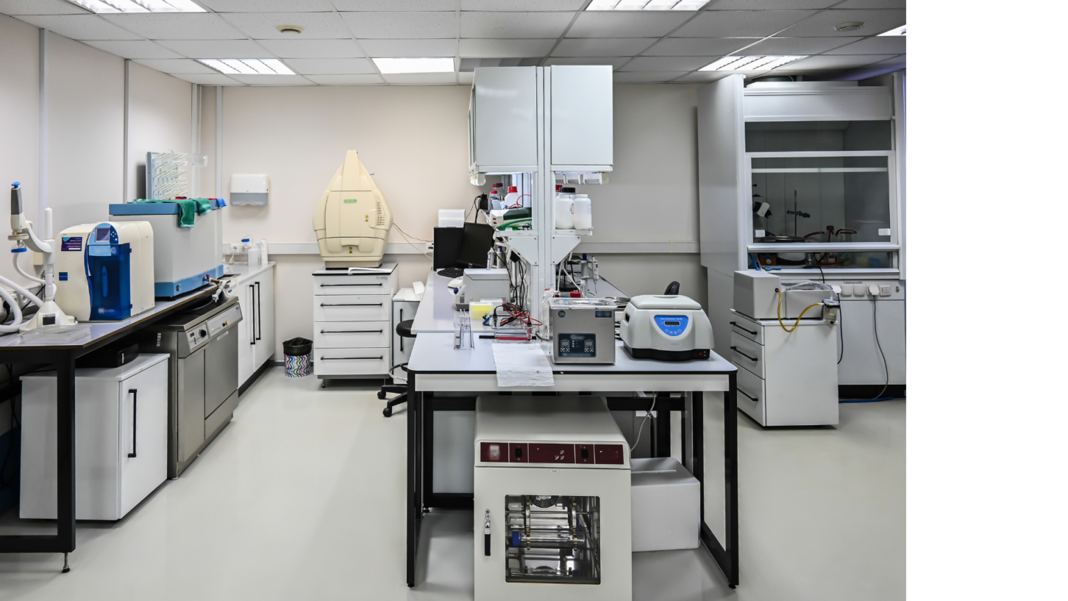 LIMS vs. ELN: Diferenças e Benefícios para seu Laboratório